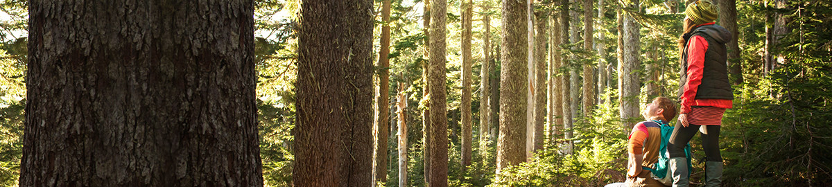 Citi® Card Benefits - Paperless Statements and E-Communications